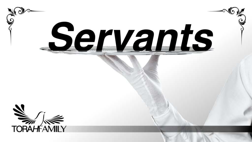 Servants | Torah Family