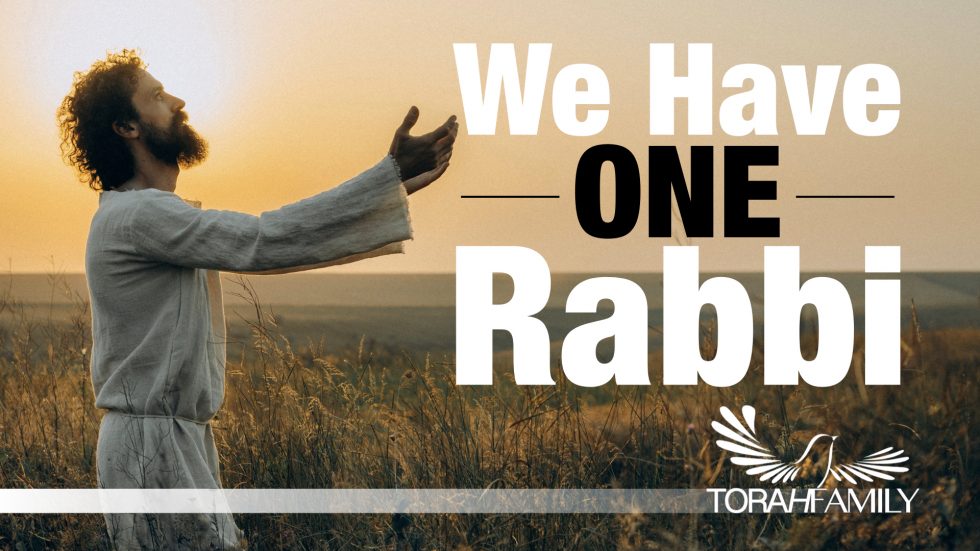 The Walk | Torah Family