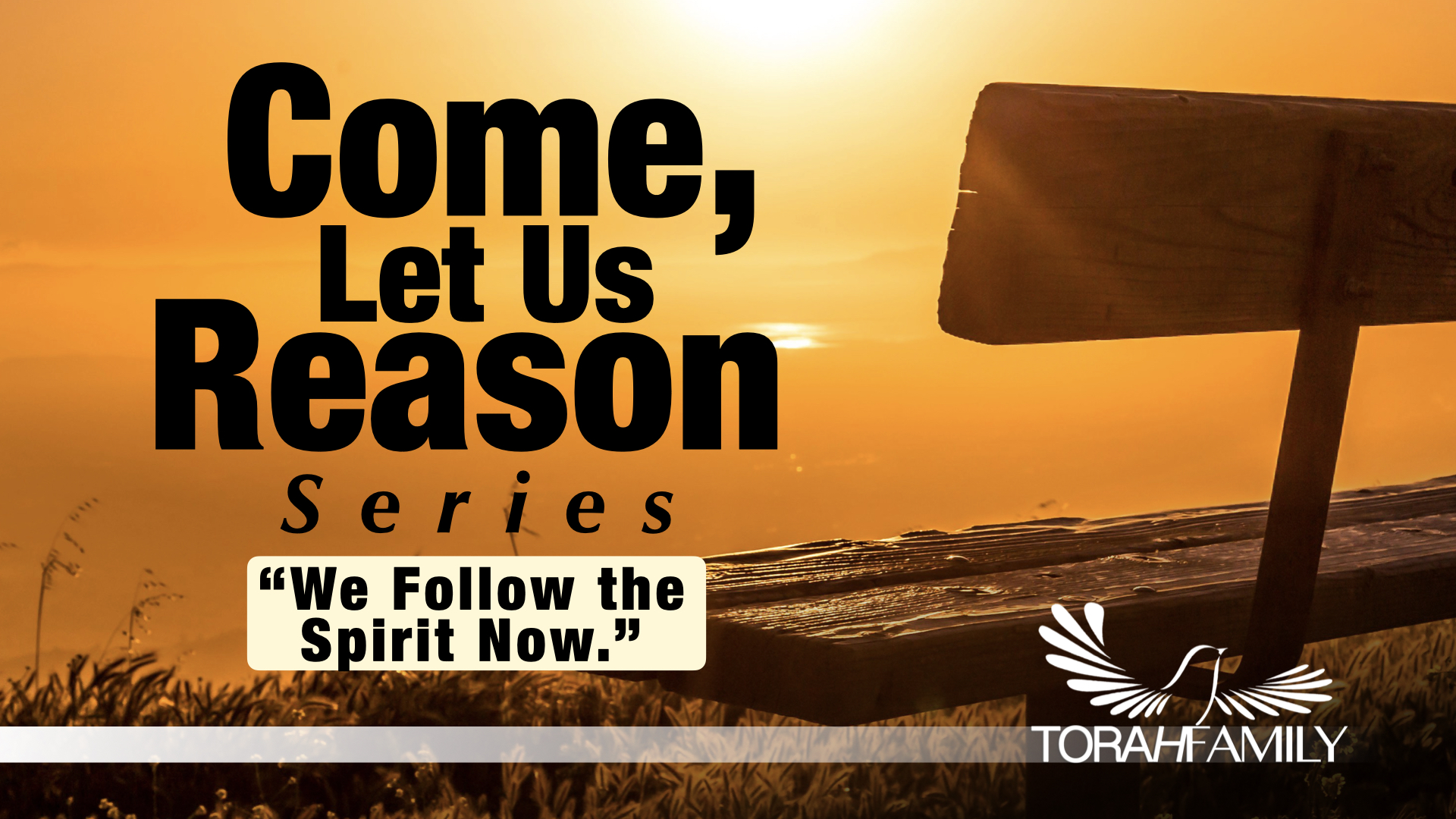 Come Let Us Reason – “We Follow the Spirit Now.” | Torah Family