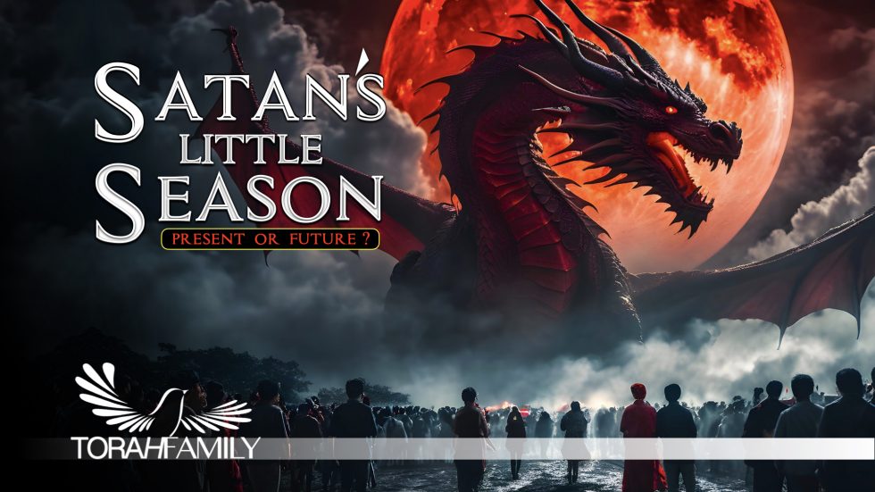 The Walk | Torah Family